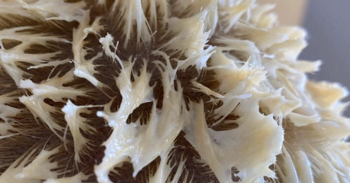 INNOluxe | These instructions explain how to apply INNOluxe whilst…